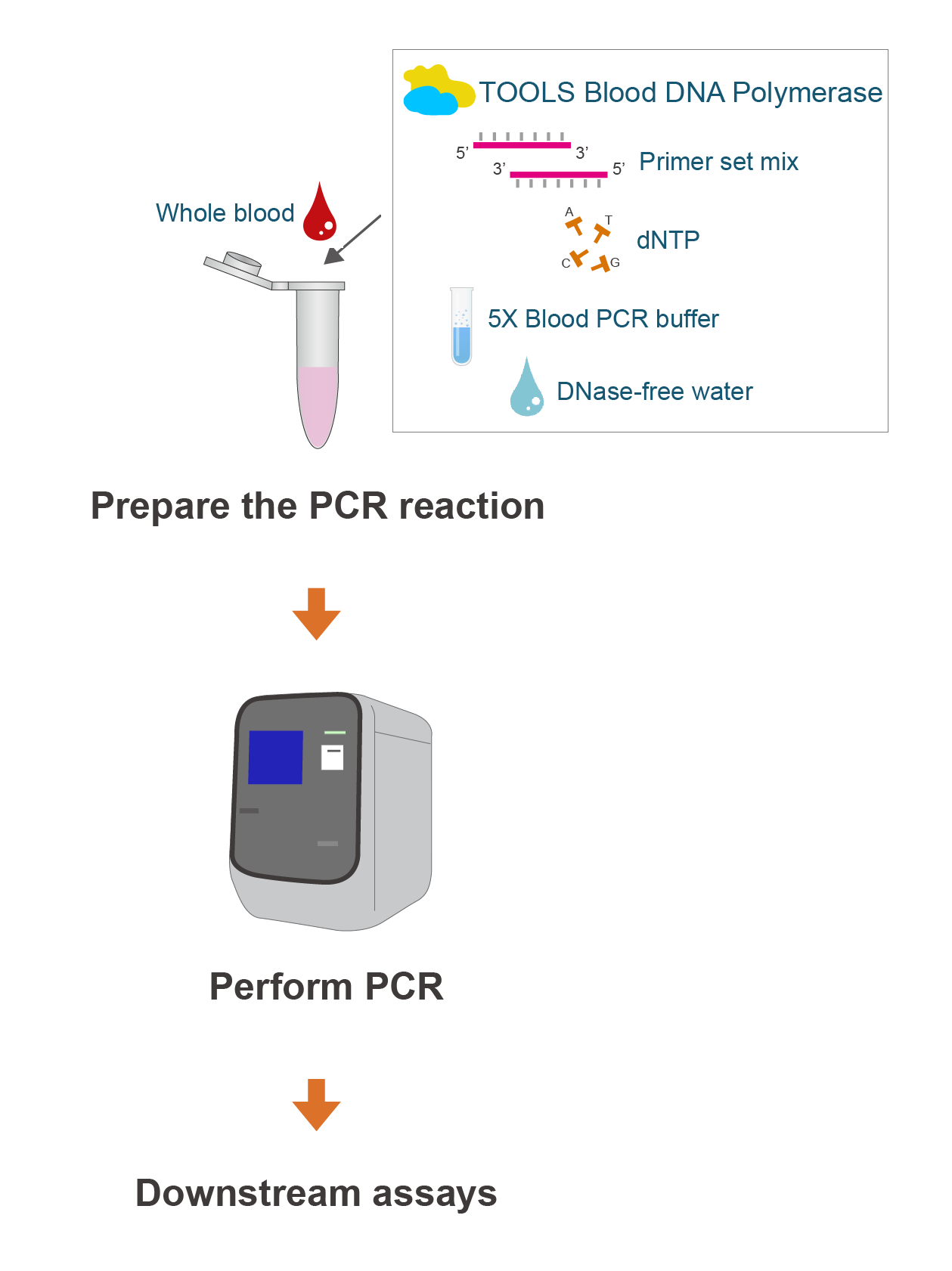 圖爾思分生試劑專家-TOOLS BlooDirect PCR kit｜圖爾思生技|Make Research Happen 實現您的有趣創意 ...